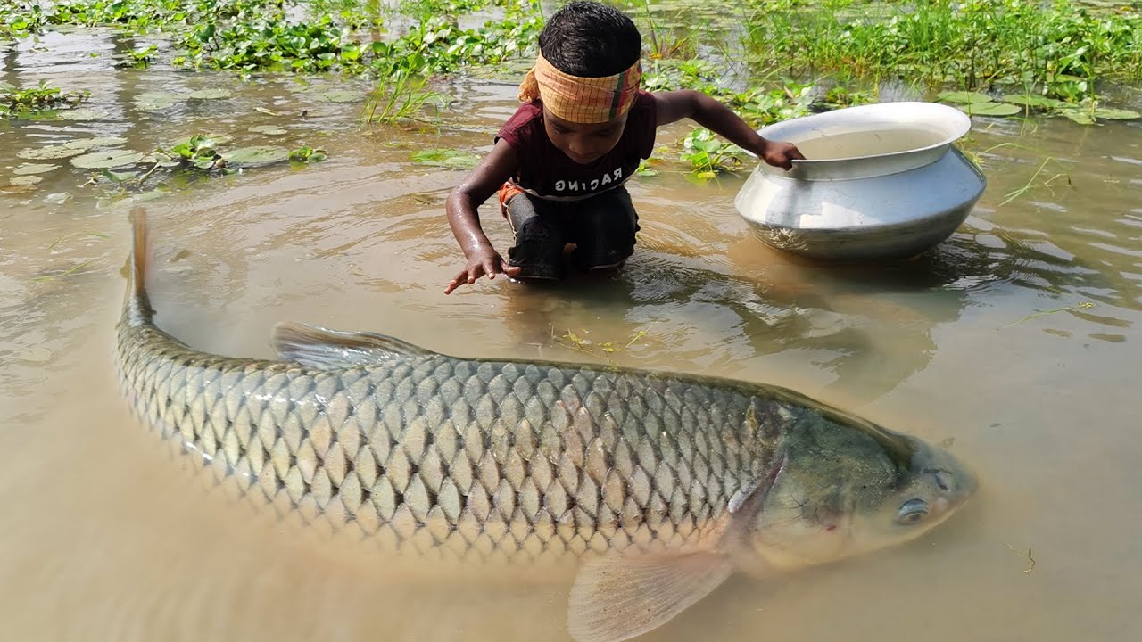 Amazing Hand Fishing Video | Traditional Boy Catching Fish By Hand in ...