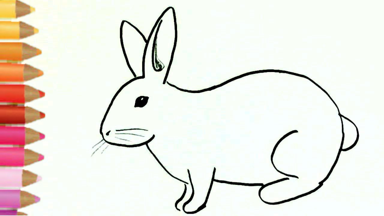 How to draw a rabbit or bunny- in easy steps advanced tutorial - YouTube