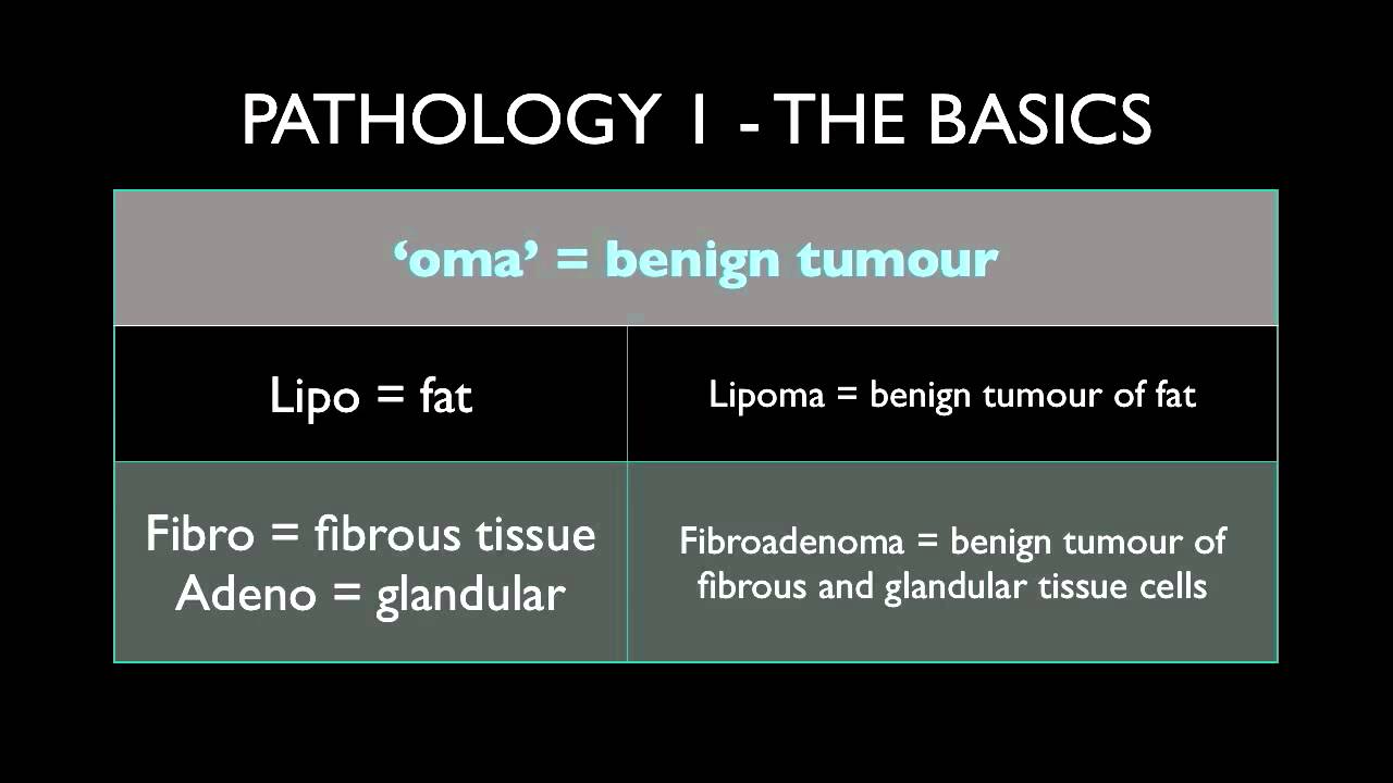 Pathology 1 the basics 5 - YouTube