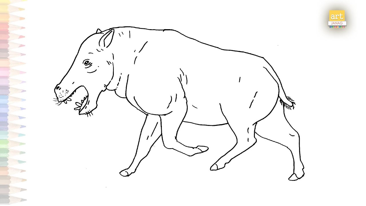 Entelodont pig drawing | extinct animal entelodont drawings | How to ...