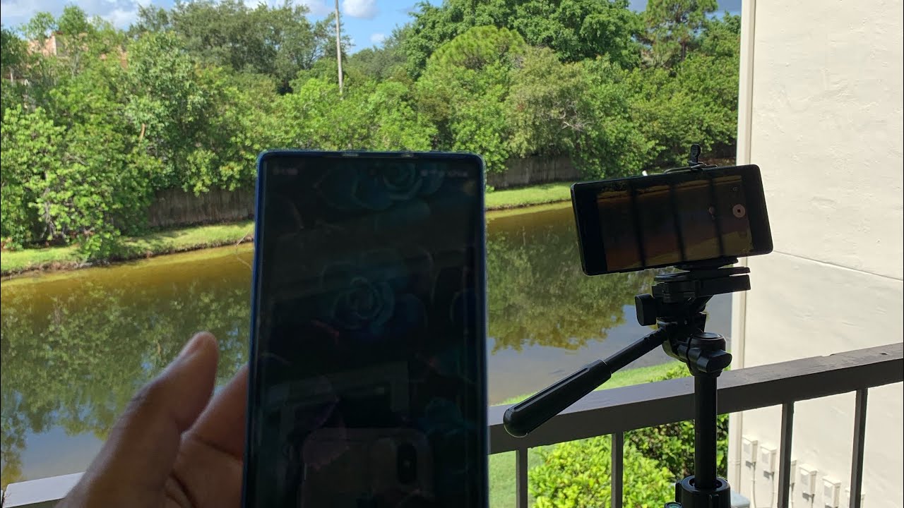 No Diga Please: Sunny June Drizzle - YouTube