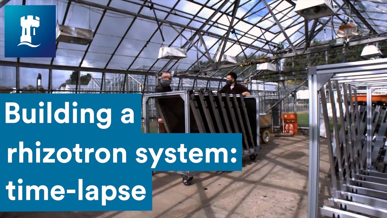 Future Food | building a rhizotron system: time-lapse - YouTube