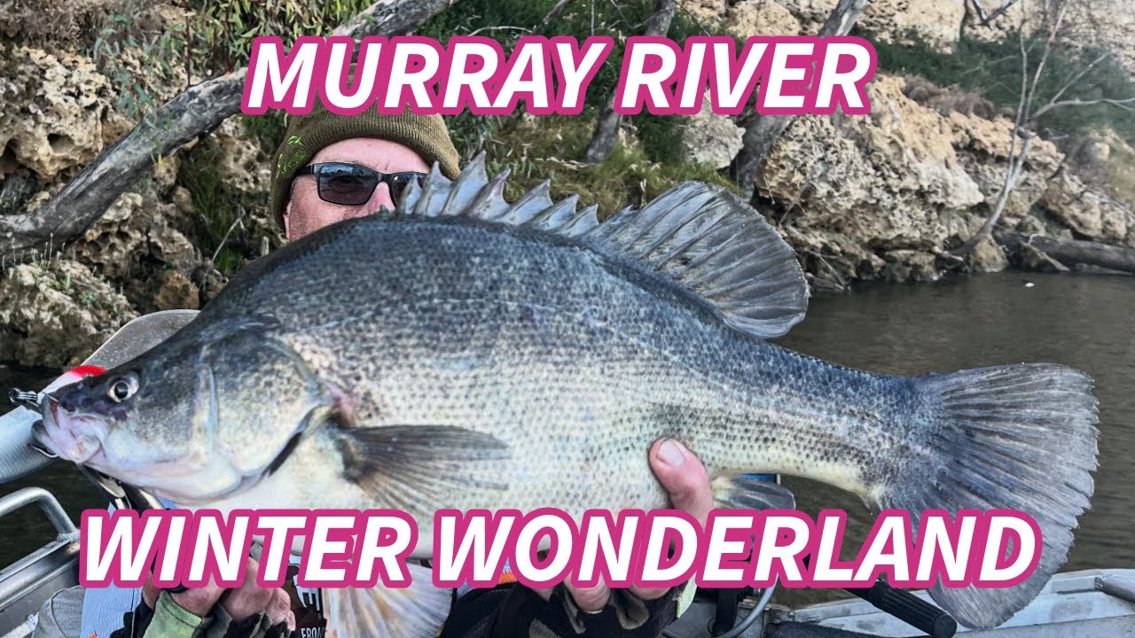 Winter fishing for Callop & Cod on the Murray River in South Australia ...
