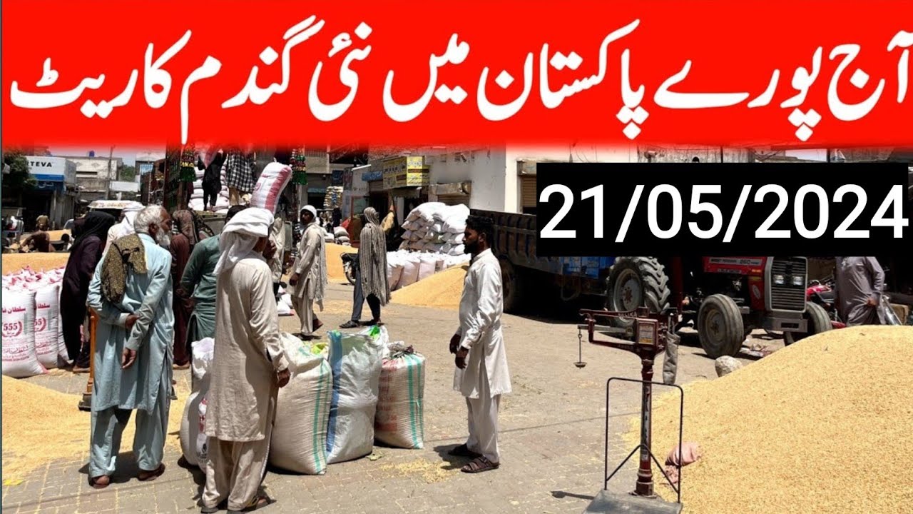 galla mandi ke rates today|2024 wheat price wheat rate today punjab ...