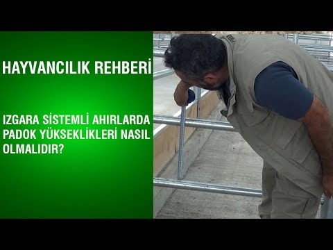 Hayvancılık Rehberi - Izgara Sistemli Ahırlarda Padok Yükseklikleri Nasıl Olmalıdır?