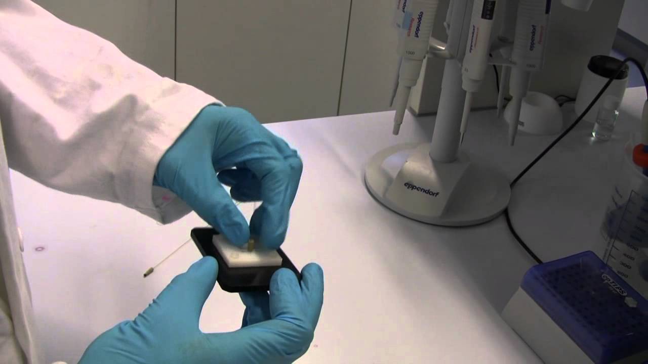 How to create a biosynthesis microreactor (project iCHEM) - YouTube