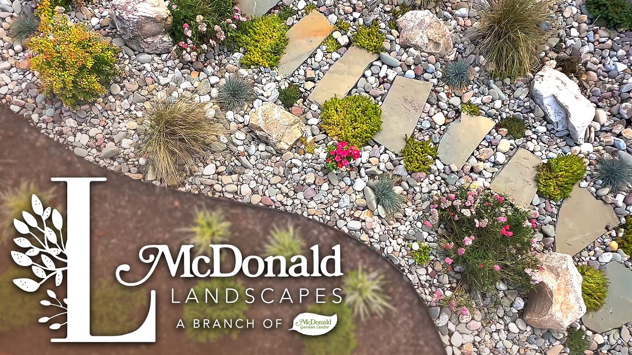 How to Level Up the Low Maintenance Landscape - YouTube