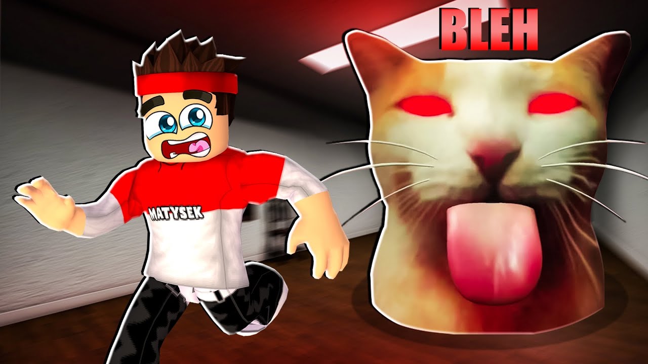MATÝSEK a ŠÍLENÁ KOČKA 👶 Roblox - ESCAPE BLEH CAT! - YouTube