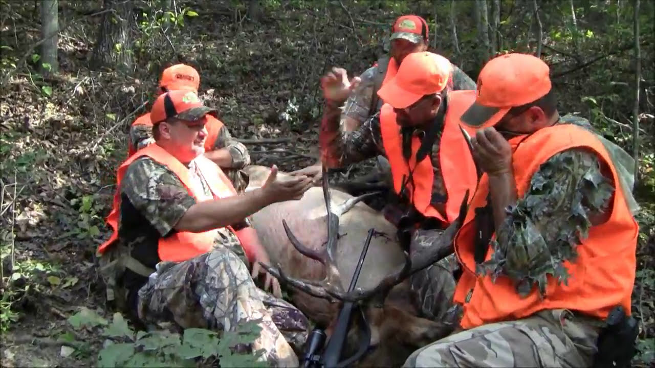 2013 Gobbler Sniper KY Elk Hunt - YouTube
