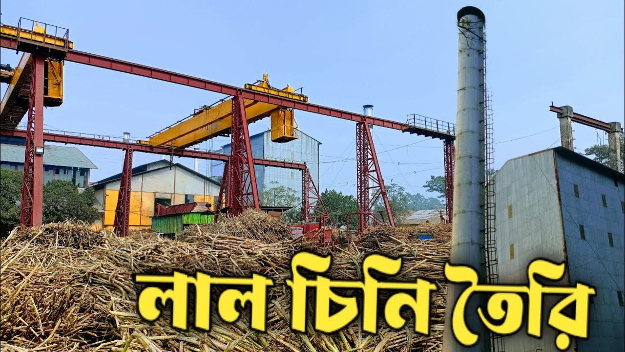 লাল চিনি তৈরি। জয়পুরহাট সুগার মিল। Joypurhat Sugar Mill - YouTube