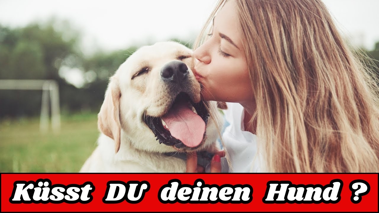 Hast du deinen Hund schon einmal geküsst? 🐶Verstehe, wie Hunde Küsse ...