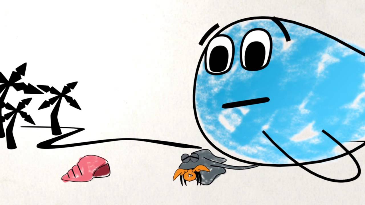 Beached Az - The Hermit Crab HD - YouTube