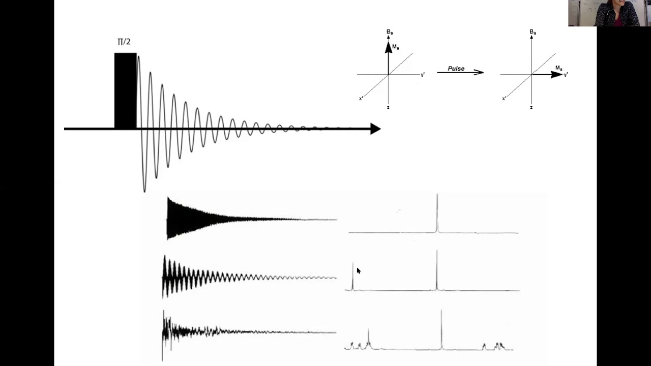Video S12 Pulse Sequence - YouTube
