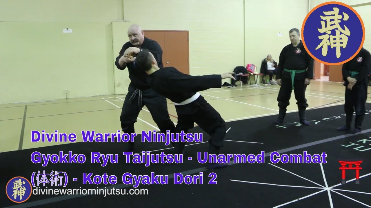 Kote Gyaku Dori 2 - Gyokko Ryu Taijutsu - Unarmed Combat (体術) - YouTube