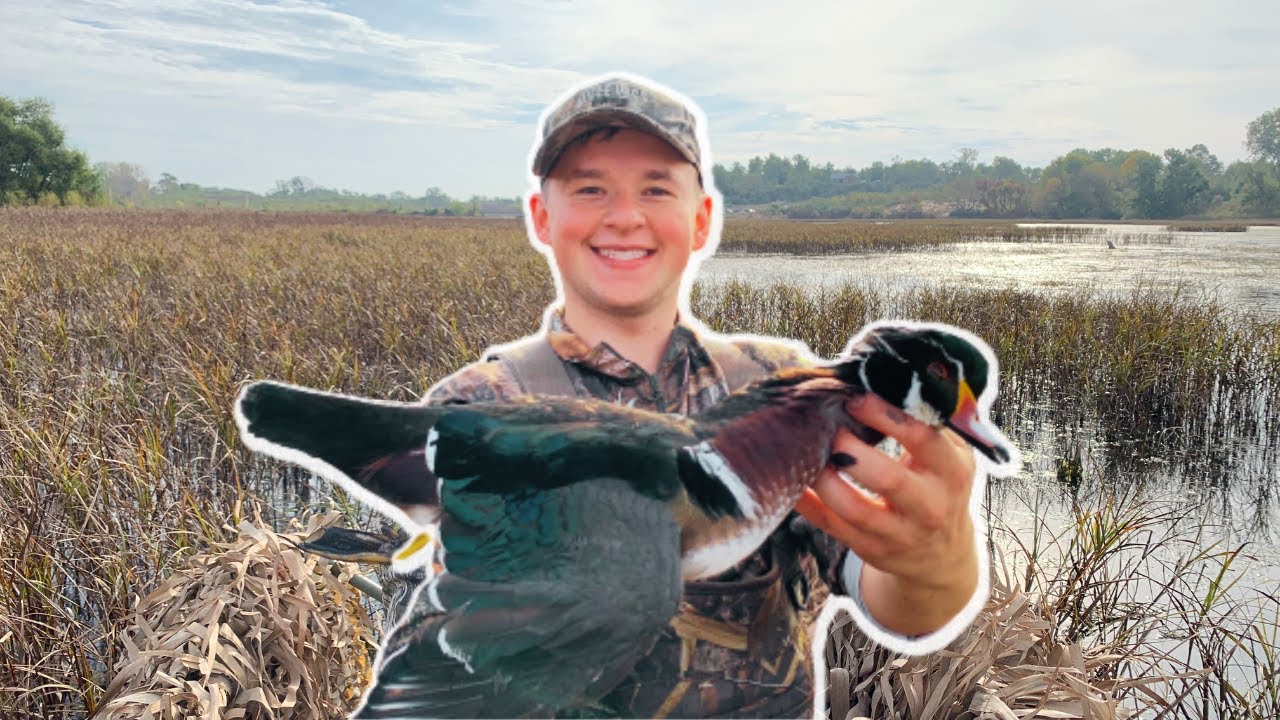 Duck Hunting Opener Iowa 2021: Public Marsh with lots of Ducks! - YouTube