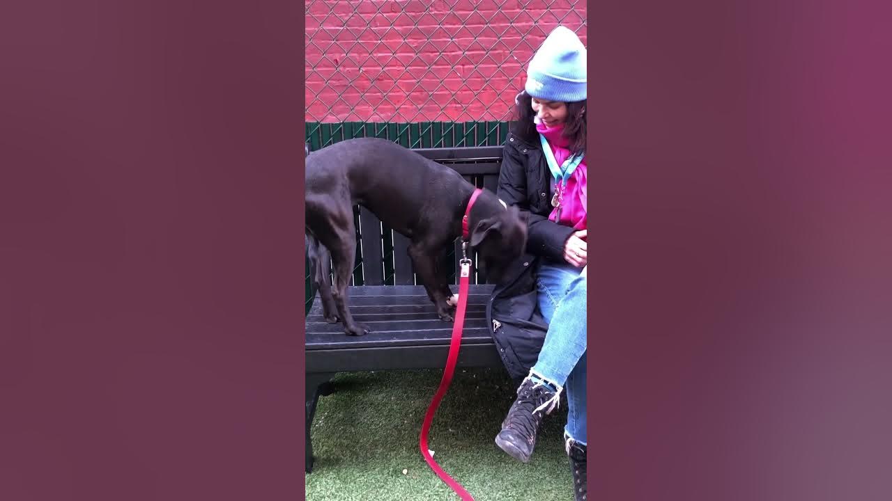 Playtime for Mangus 218401 - YouTube