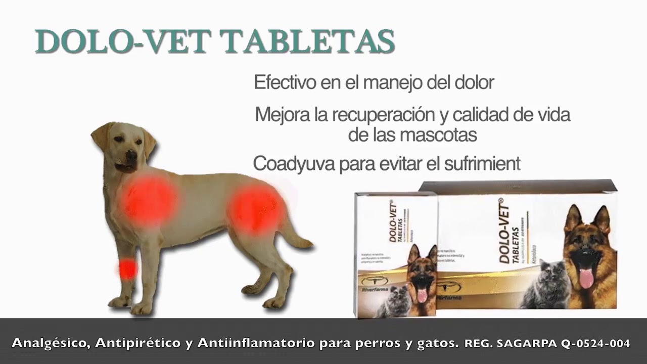 DOLO-VET TABLETAS - YouTube
