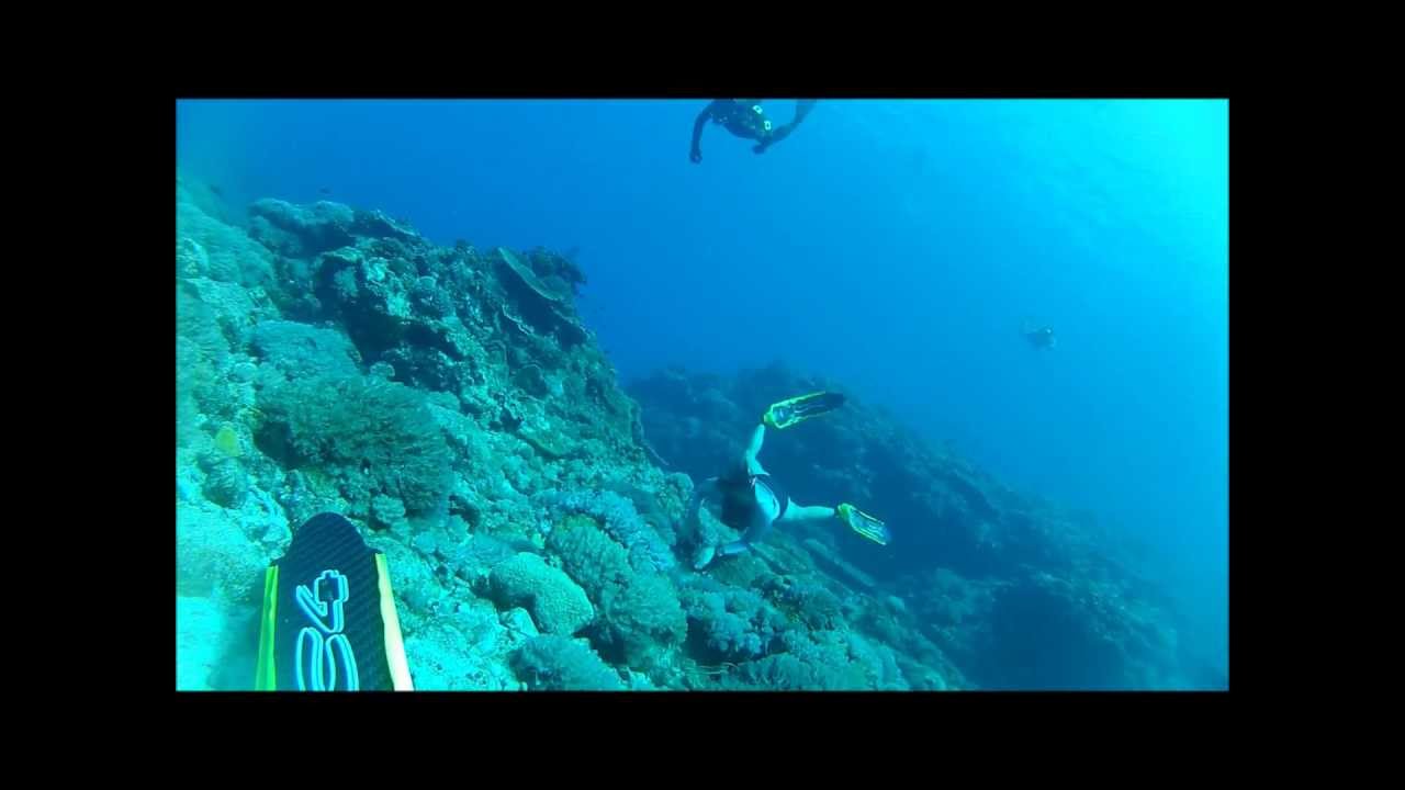 Freediving in Green Island , TAIWAN !!! - YouTube