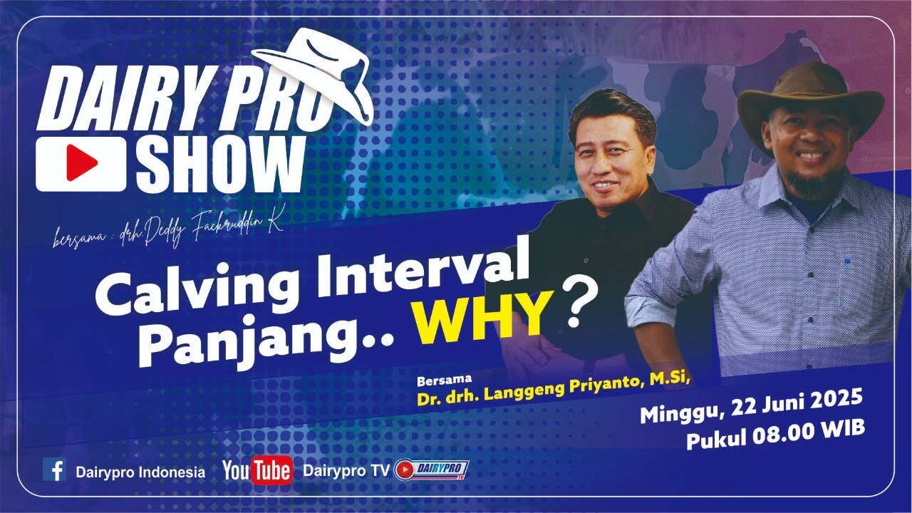 Calving Interval Panjang.. WHY? - YouTube
