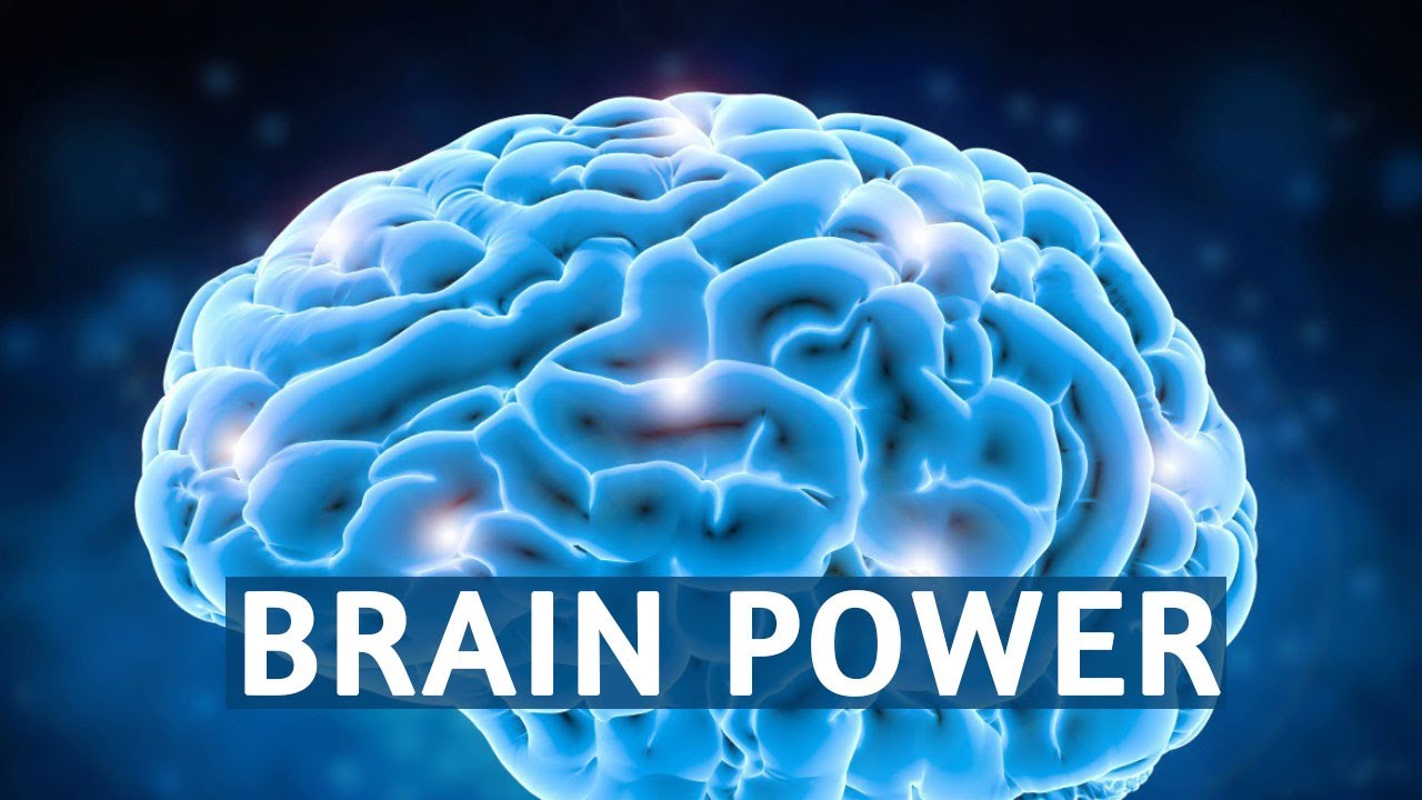 BRAIN POWER Music for DEEP FOCUS, Concentration & Intelligence - ALPHA ...