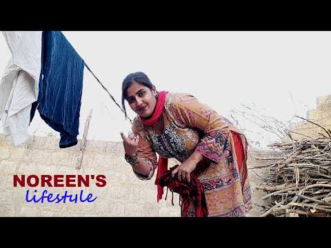 Noreen's laundry hacks for stain removal - Noreen Village Life - میری مشکل زندگی
