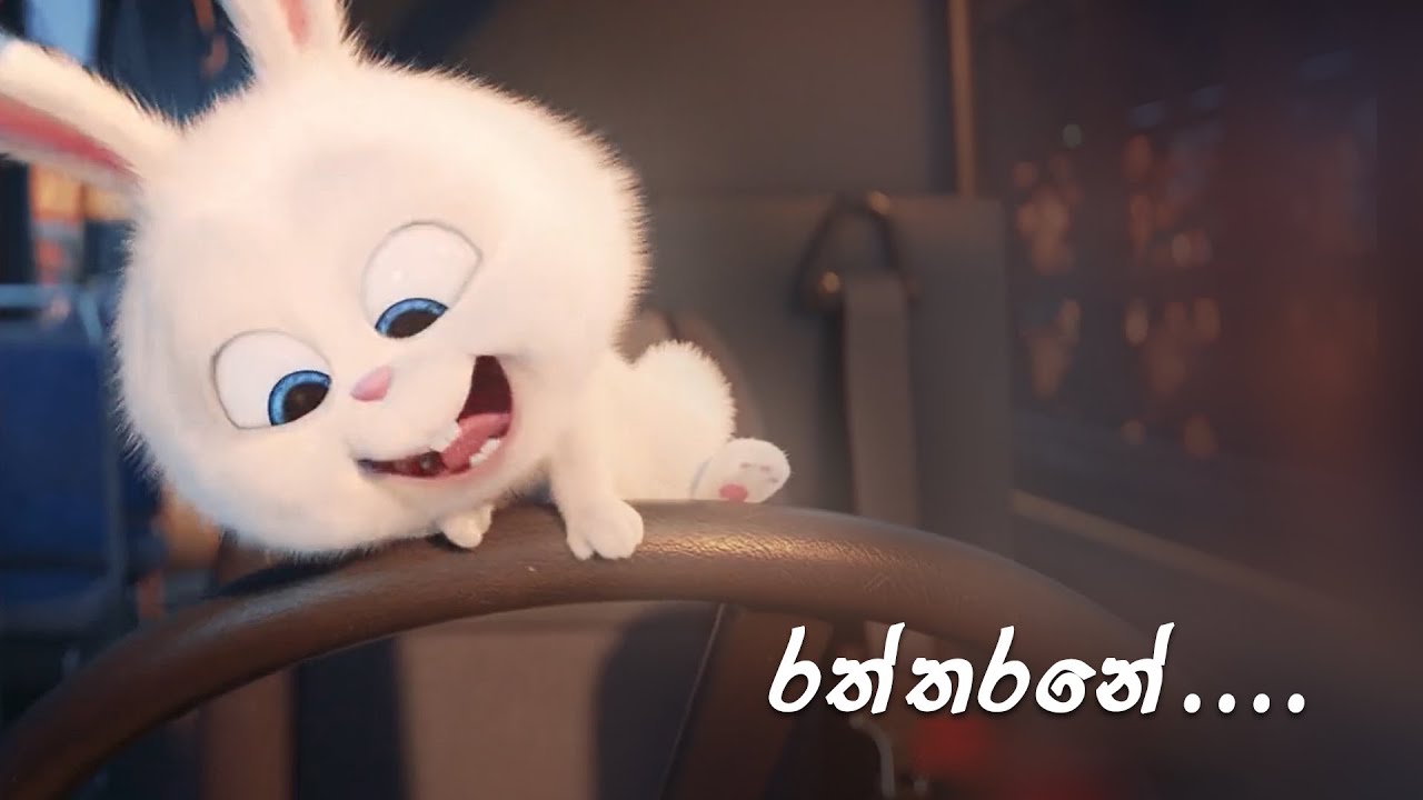 රත්තරනේ | Raththarane The Secret Life Of Pets - YouTube