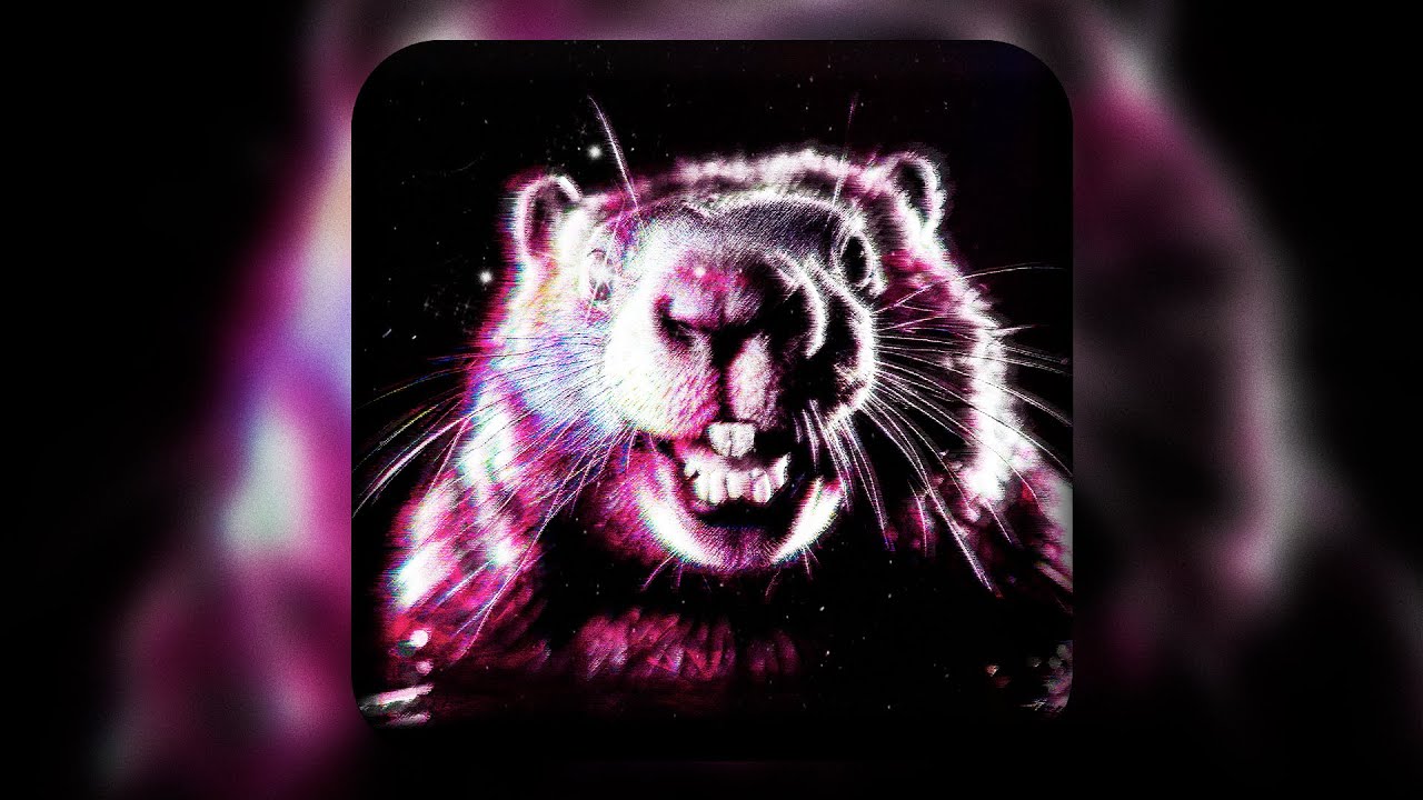 PlaWzaR — «CURVA BOBER FUNK» (SPEED UP) - YouTube