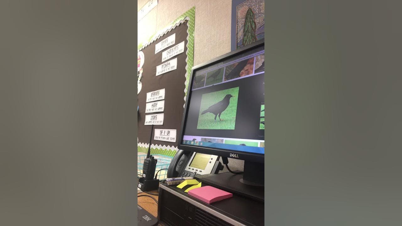 Nat Geo Reach for Reading Unit 4 Week 2 - YouTube