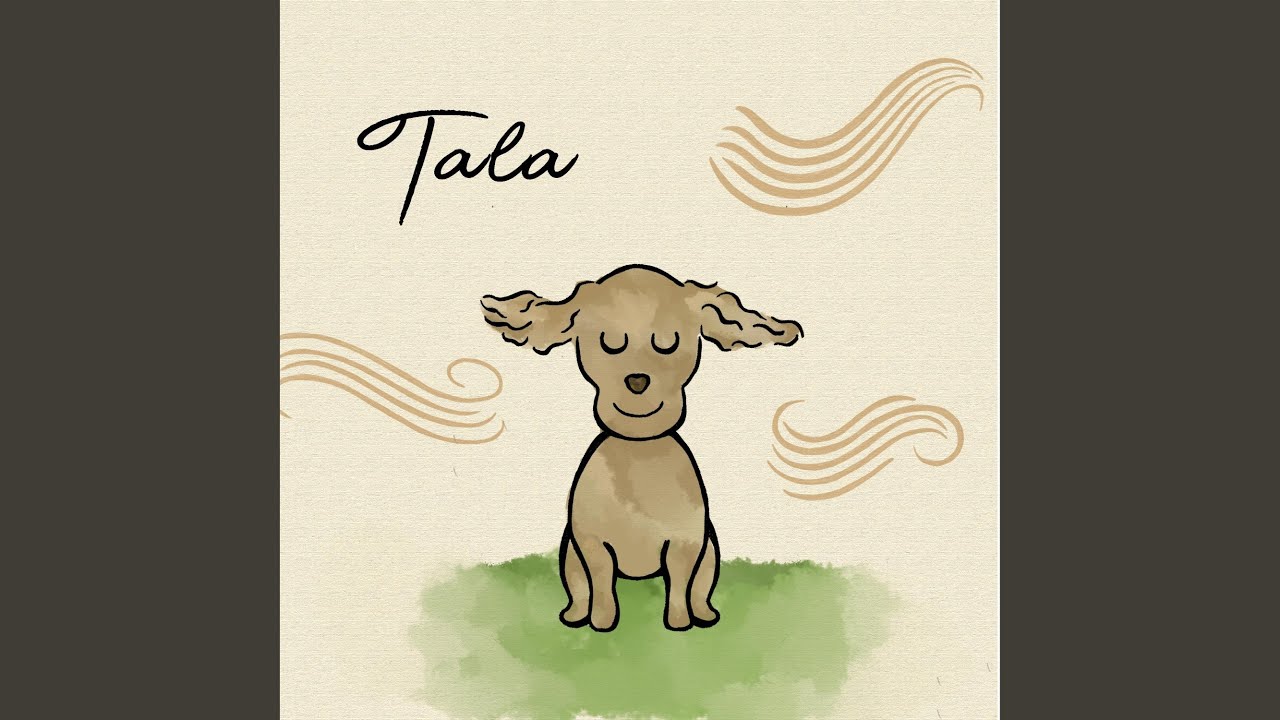 Tala - YouTube