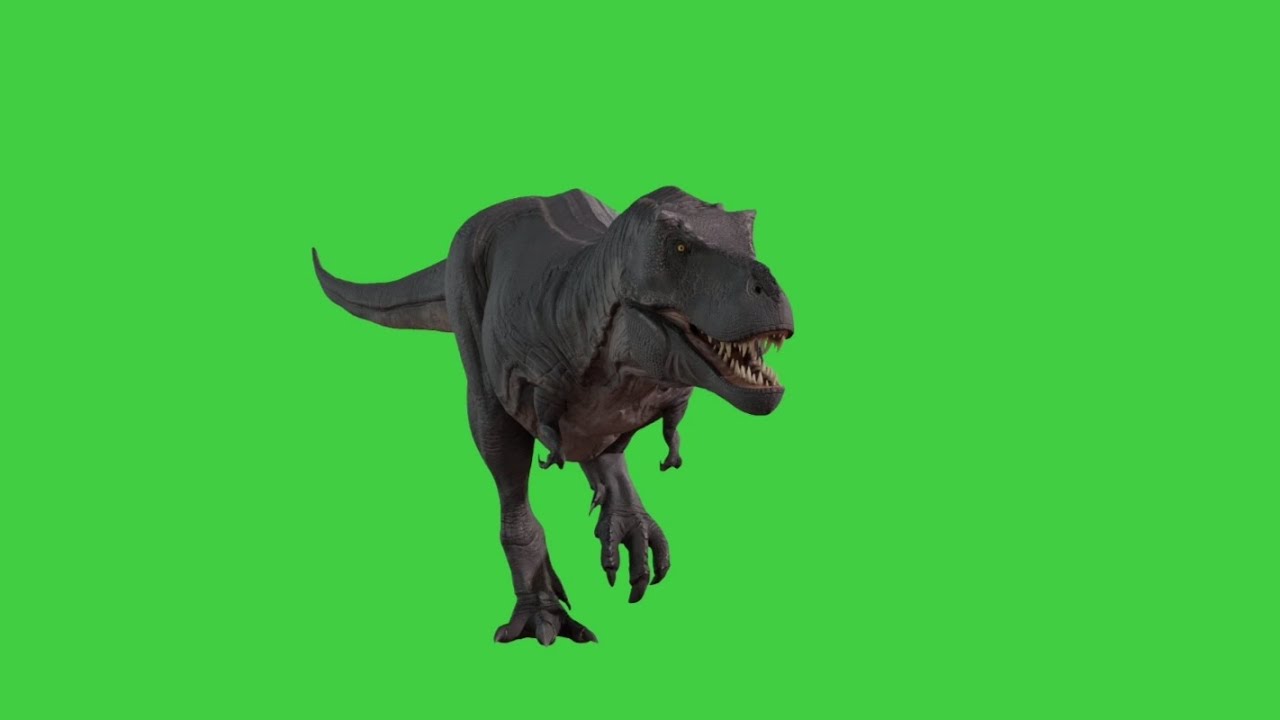 Dinosaur on green screen | Chromakey footage | Free greenscreen video # ...