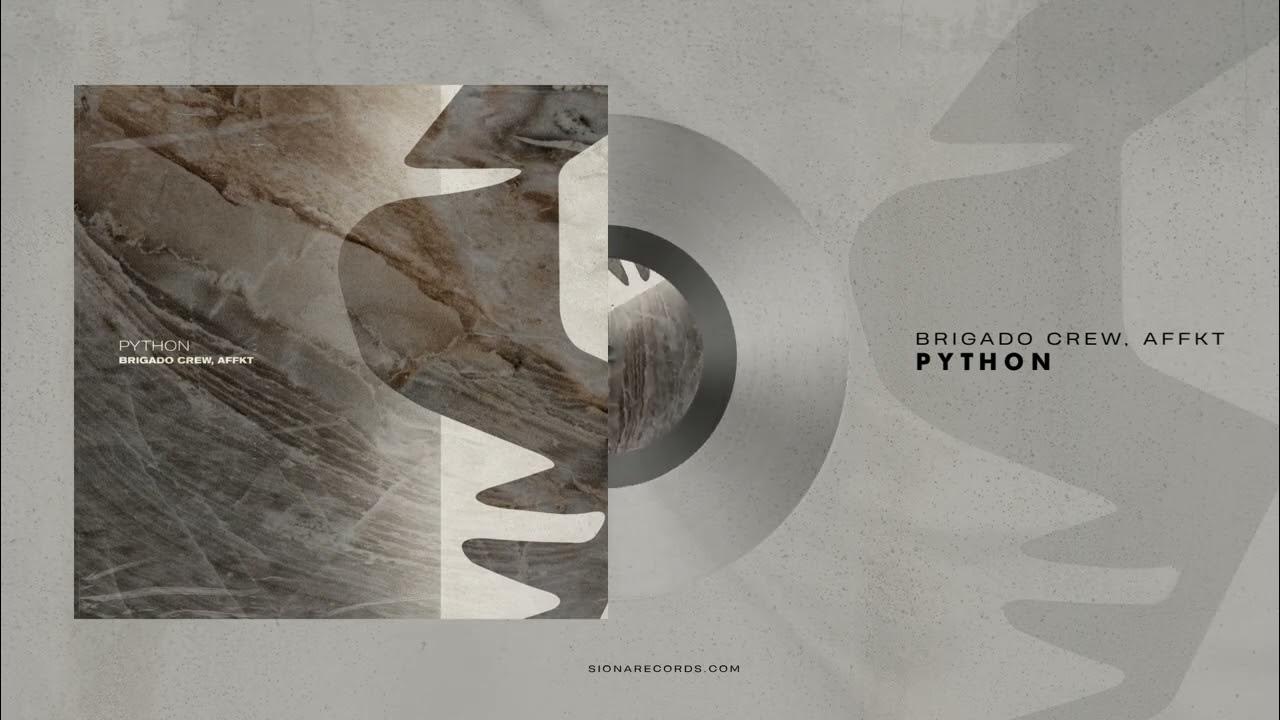 Brigado Crew, AFFKT - Python (Original Mix) - YouTube