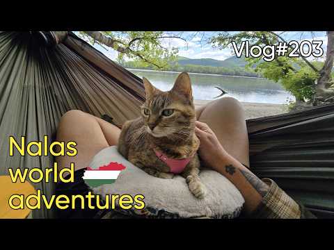 Vlog #203 Güzel kamp yeri, bisikletin tamiri ve Budapeşte'ye varış 🇭🇺❤️
