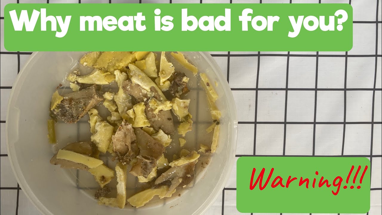 Why meat is not good for you ? - YouTube