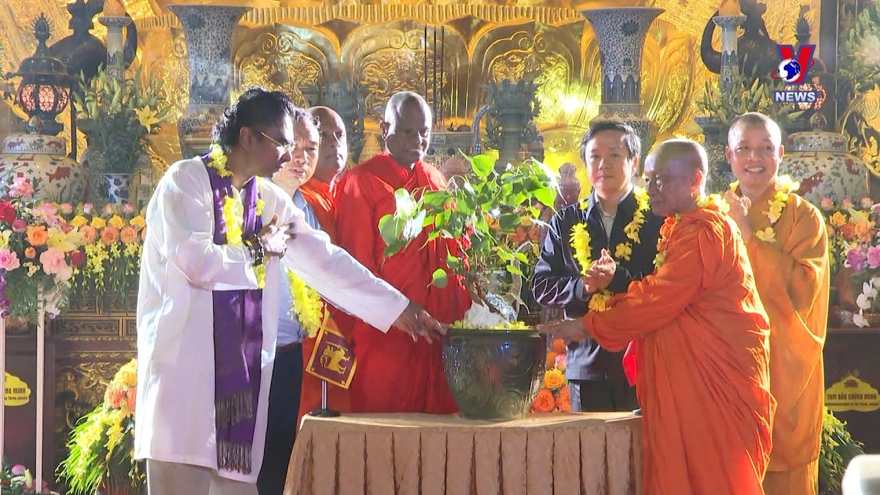 Sapling from world's longest-living Bodhi tree planted in Bai Dinh ...