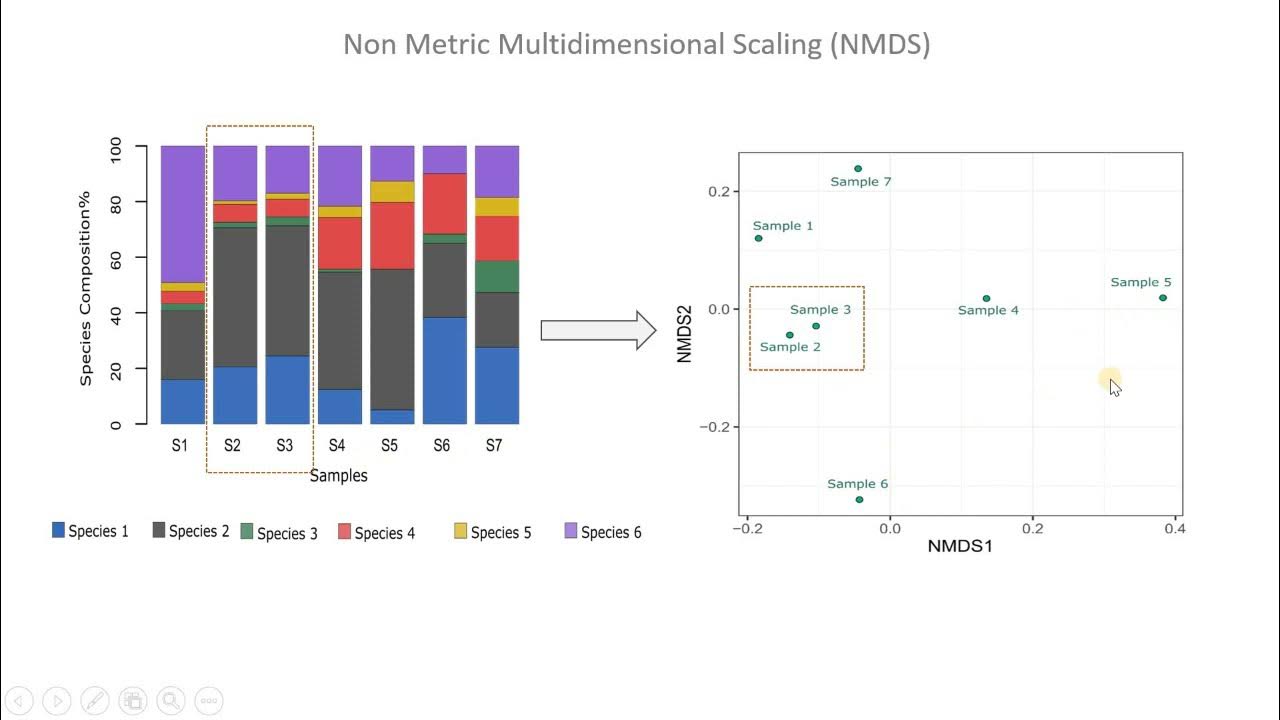 NMDS (Non-metric multidimensional scaling) Clearly Explained | R Studio ...