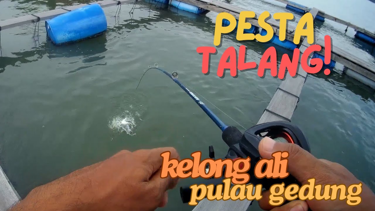 Berpesta ikan talang menggunakan teknik ini | cara mancing di kelong ...