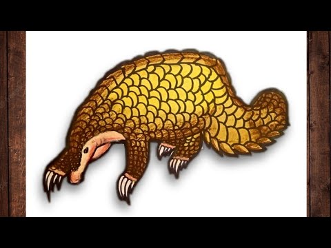 HOW TO DRAW A PANGOLIN | PANGOLIN DRAWING | ANIMAL DRAWING - YouTube