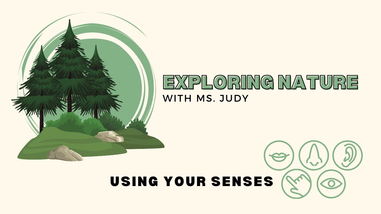 Exploring Nature | Using Your Senses - YouTube
