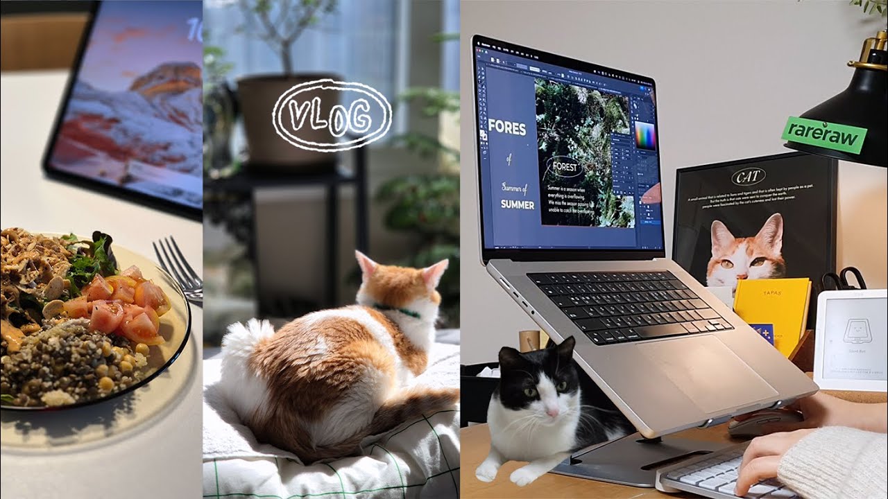 집에서 밥 해먹고 포스터 작업하는 일상💻 뒤늦은 크리스마스 장식 치우기🎄 🐈고양이 브이로그 파묘 관람 일상브이로그