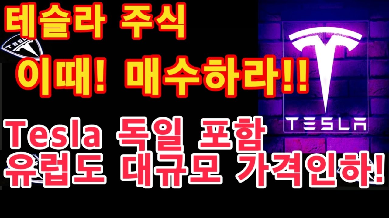테슬라 주식 이때 매수하라 Tesla 독일 포함 유럽도 대규모 가격인하 가격인하 Fud 주가 하락 인지 Tesla 주가 테슬라 투자 Tsla 차트