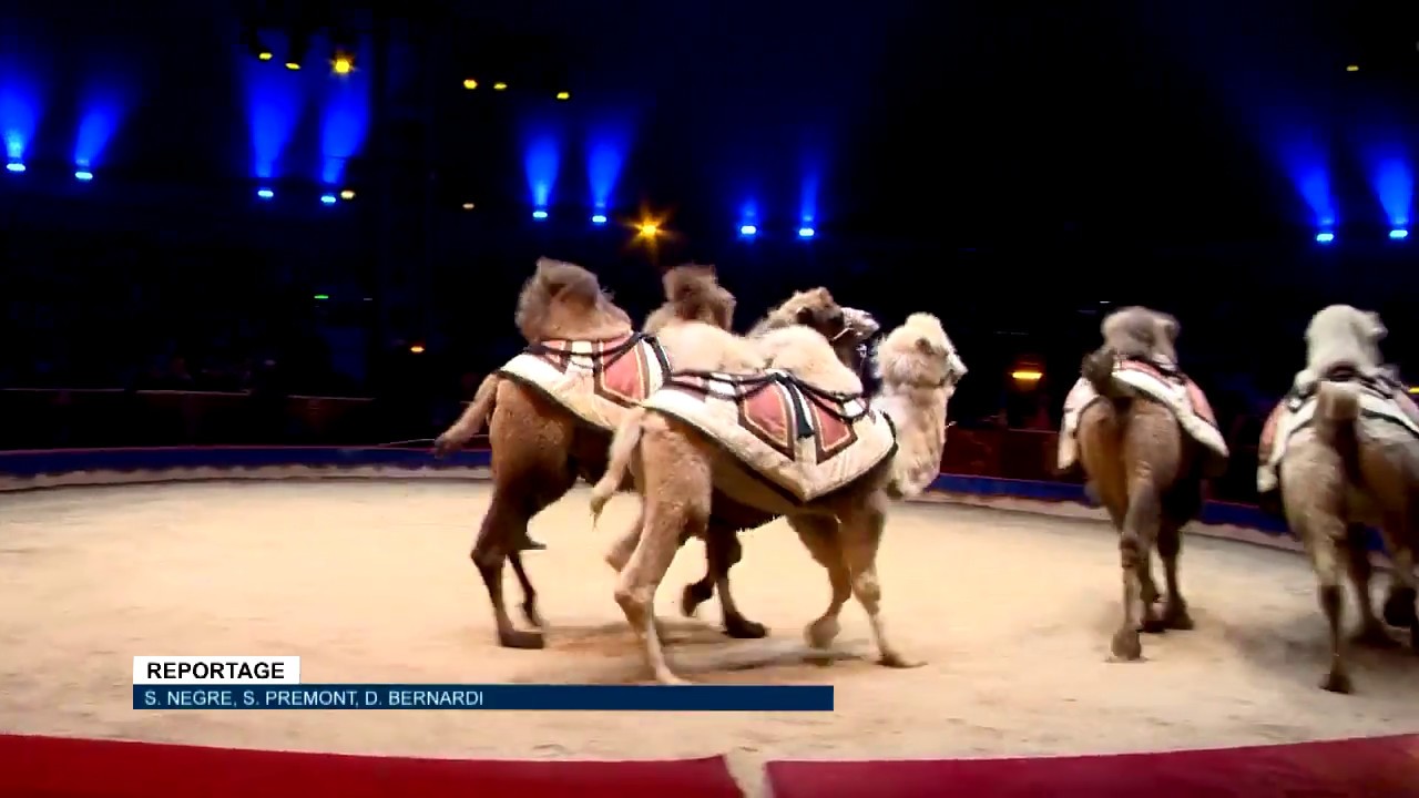 Succès pour l’Open Indoor Circus Show - YouTube