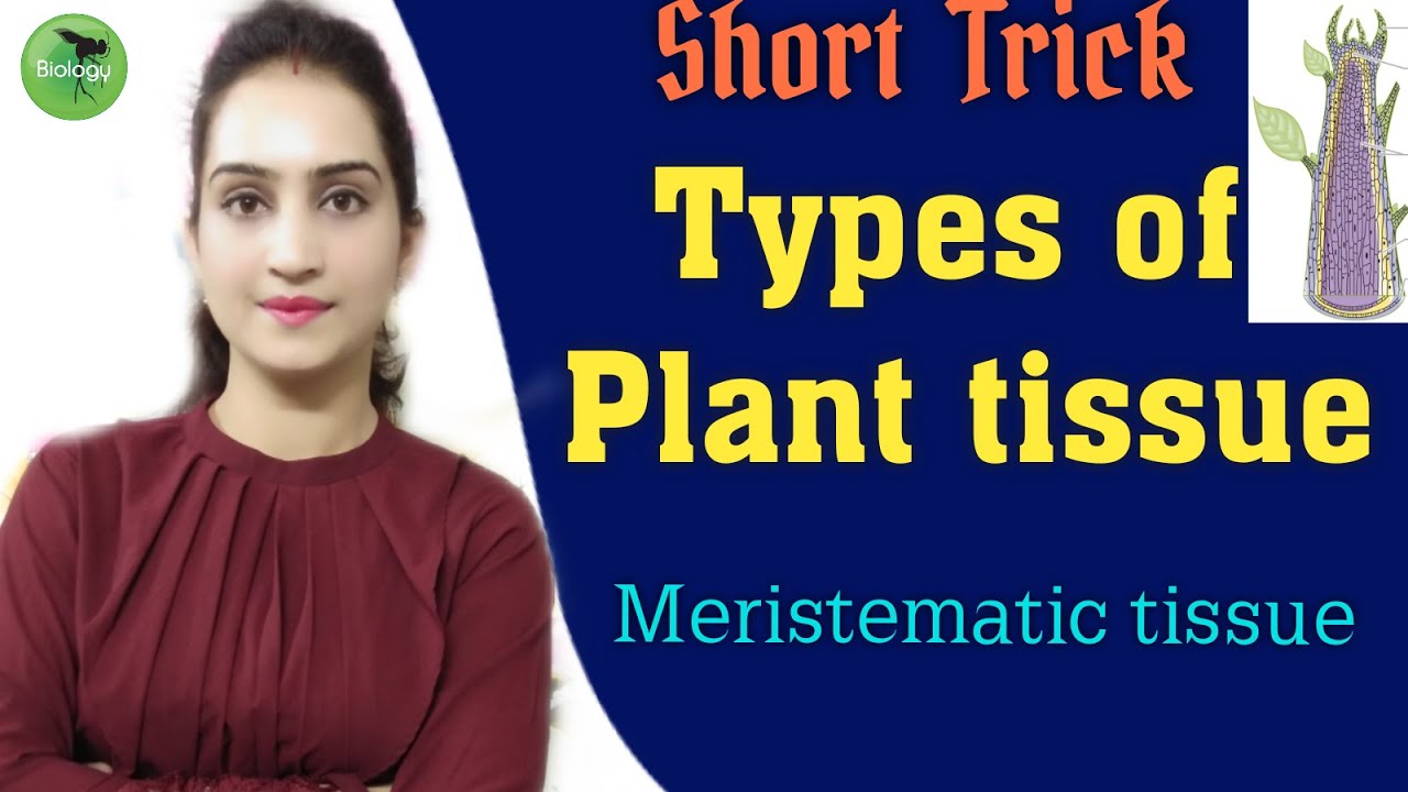 Types of plant tissue|Short trick|Plant tissue class 9|Trick to learn ...