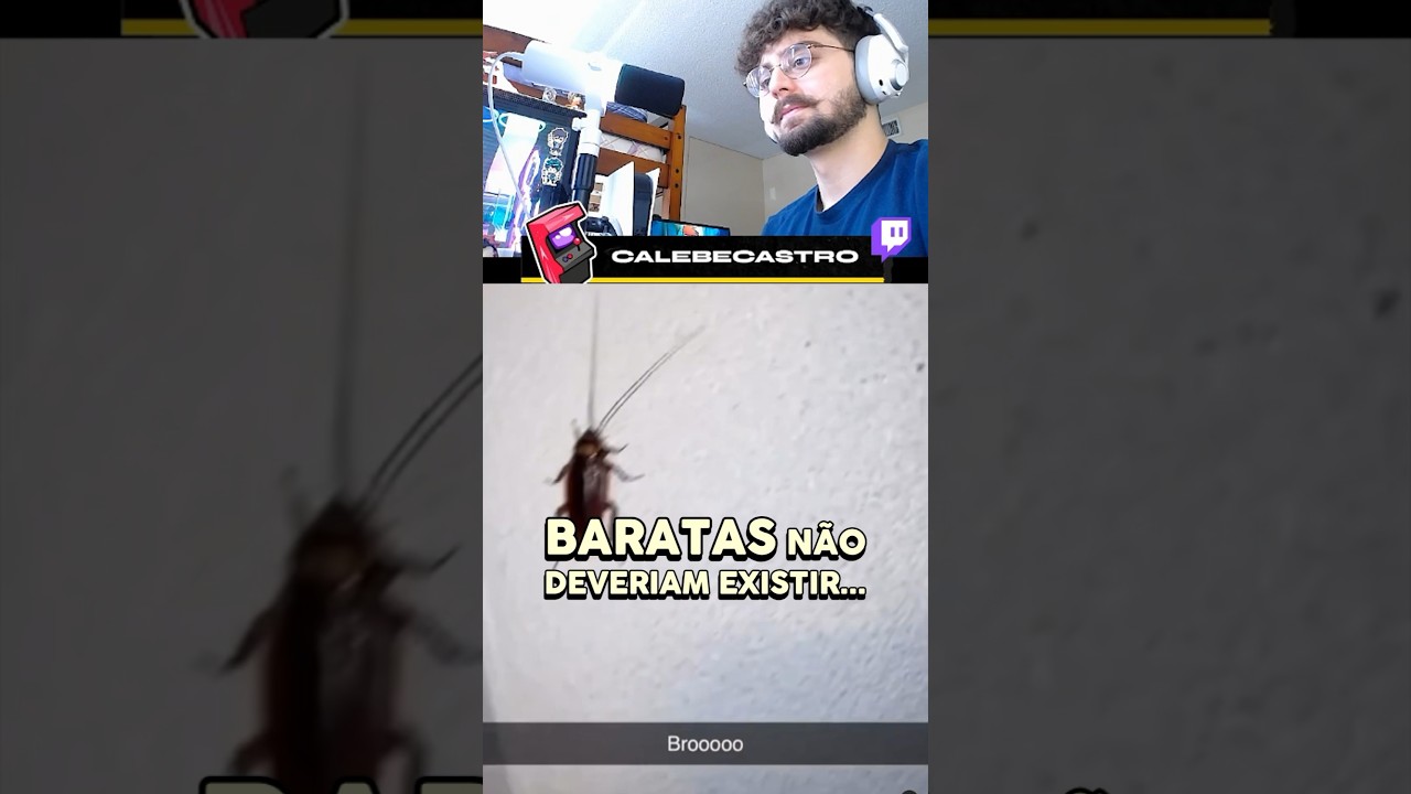 Memes Barata Voadora