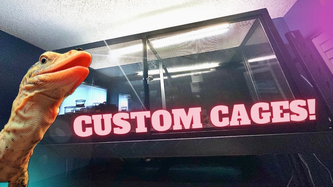 CUSTOM CAGES Assembly! (Giant Monitor Lizard Enclosure!) - YouTube