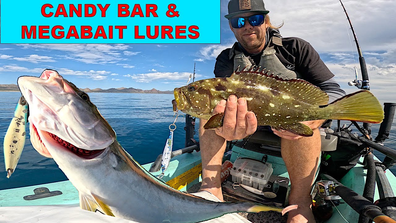 Fishing Lures | Candy Bar & Megabait Lures | Yoyo Iron, Surface Iron ...
