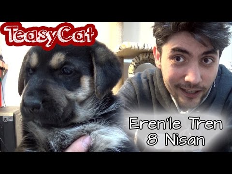 Eren'le Tren - 8 Nisan - Davetsiz Misafirler