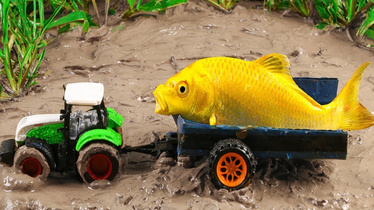 Fun Mud Survival | Koi Fish Catching the Garden Thief Under Primeval ...