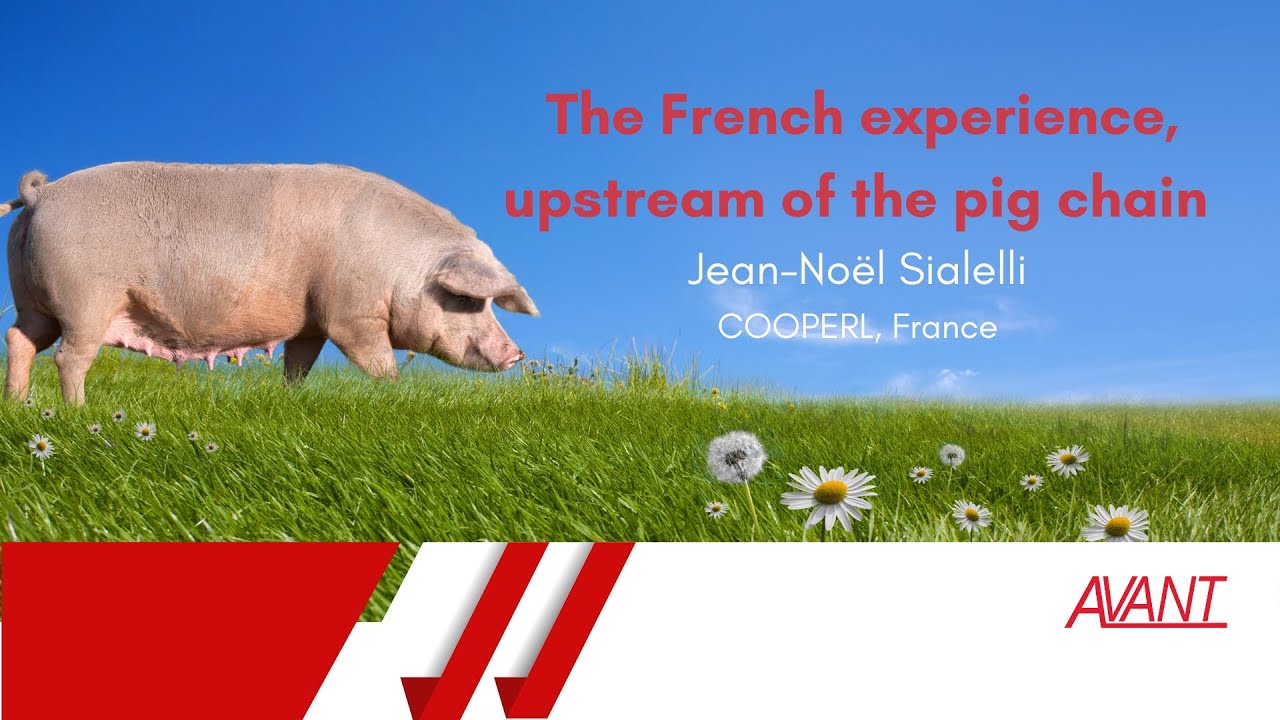 "The French experience, upstream of the pig chain " by Jean-Noël ...