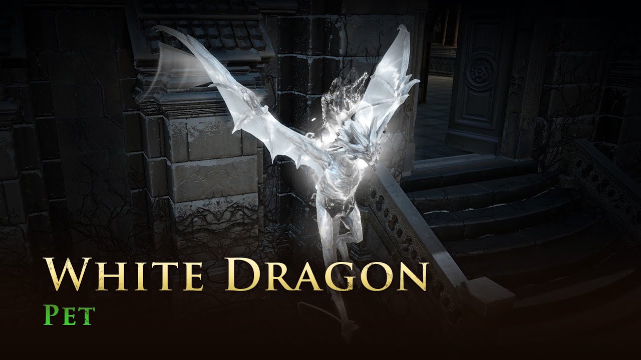 Path of Exile: White Dragon Pet - YouTube