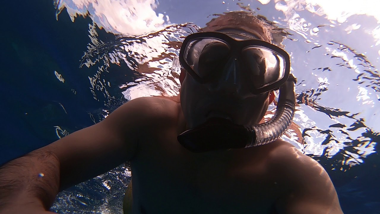 Nadando con los peces - YouTube